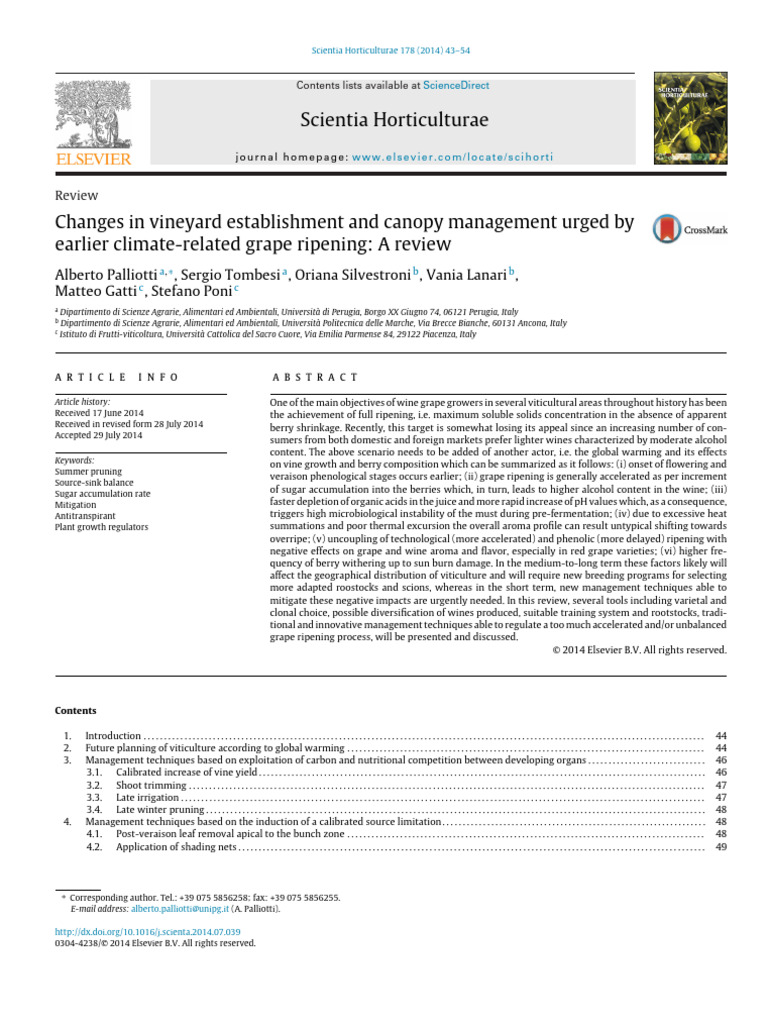 Vienyard Canopy Management Grape Ripening. Review | PDF | Viticulture ...
