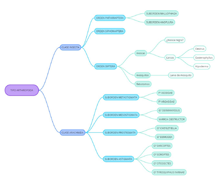Mind Map | PDF