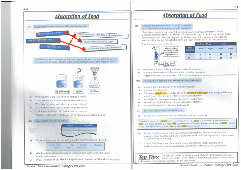 Visking Model Gut questions | Download Free PDF | Solubility | Small ...