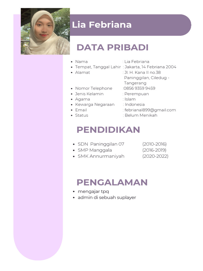 Blue Light Blue Color Blocks Flight Attendant CV | PDF | Flight Attendant