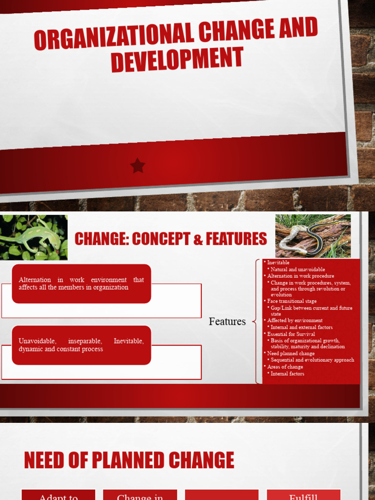 Organizational Change and Development Pu | PDF | Organization Development | Organizational Behavior