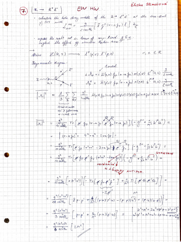 Ew HW 7 8 Eliska Klimesova | PDF