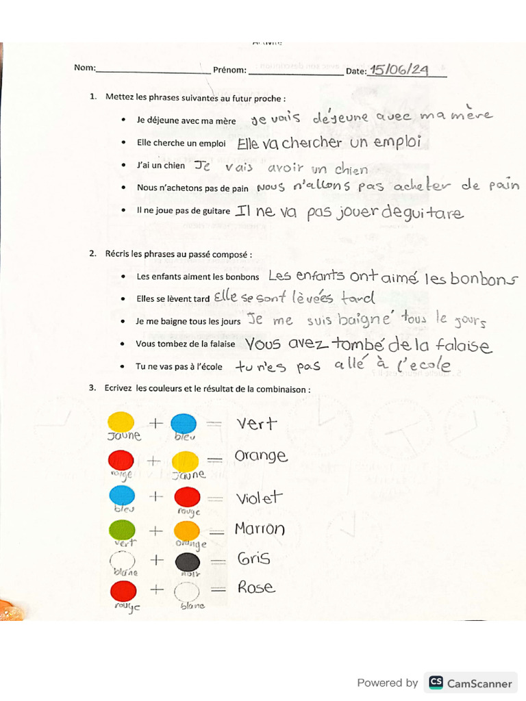 Repaso Francés 1 | PDF