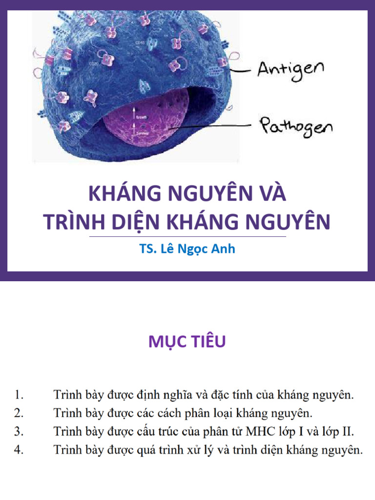 Khang Nguyen Và Trinh Dien Khang Nguyen | PDF