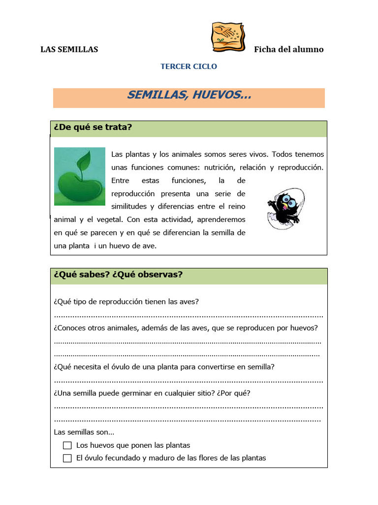 Actividad Semillas-3 | PDF | Semilla | Huevo