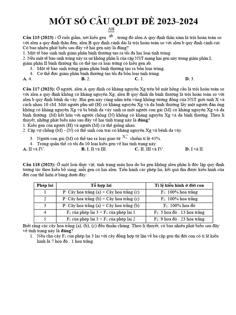 MỐT SỐ CÂU QLDT ĐỀ 2023,2024 | PDF