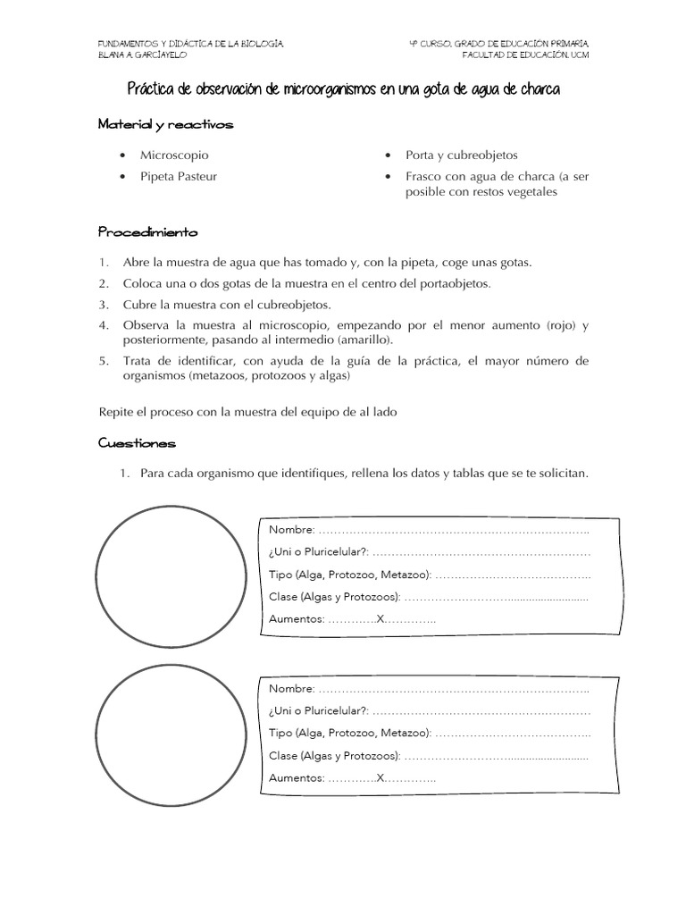 2 Práctica Agua de Charca | PDF | Algas | Naturaleza