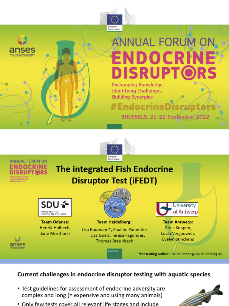 06 - Lisa Baumann - iFEDT | PDF | Endocrine System | Thyroid