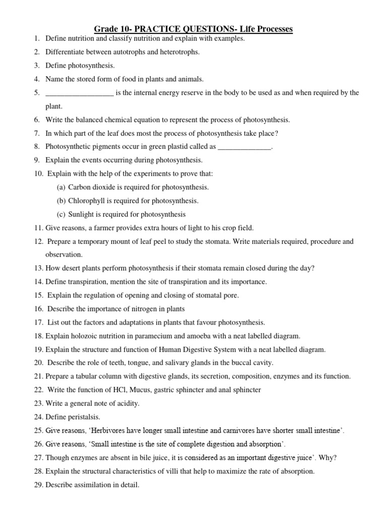 Life Process Question Bank | PDF | Respiratory System | Heart