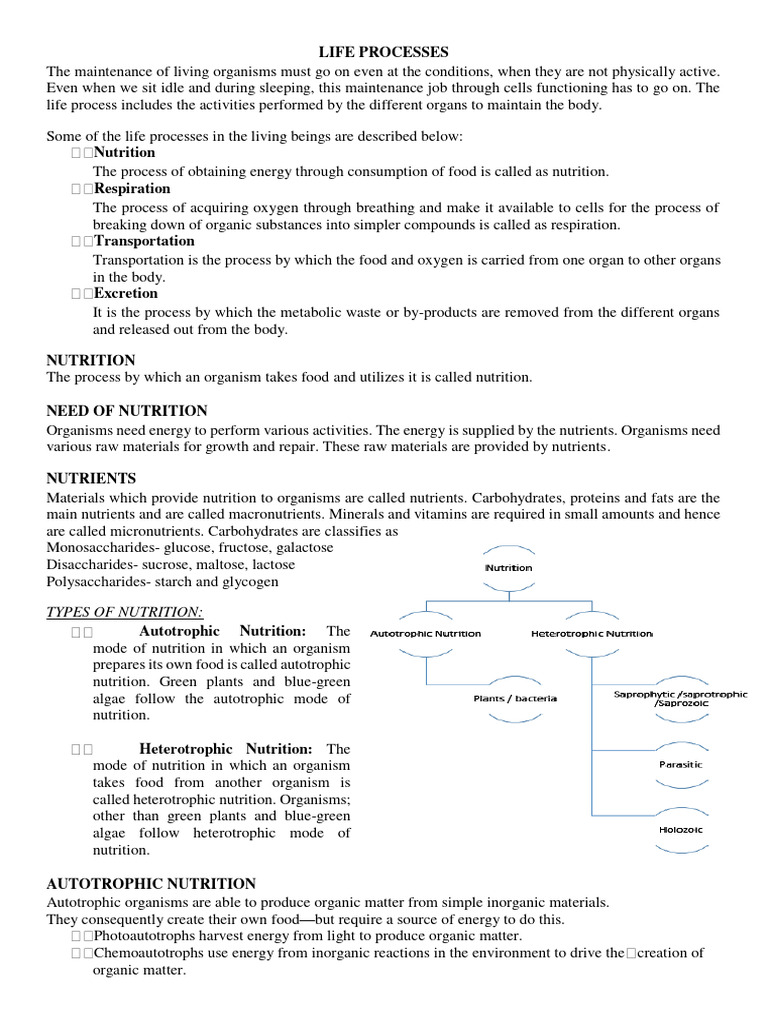 LIFE PROCESSES - Explanation Notes | PDF | Diastole | Ventricle (Heart)