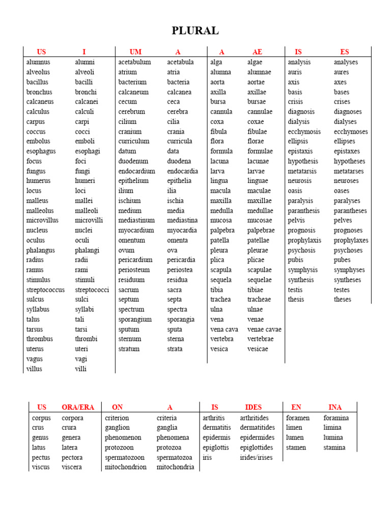 Medical Plurals and Synonyms | PDF | Bone | Surgery
