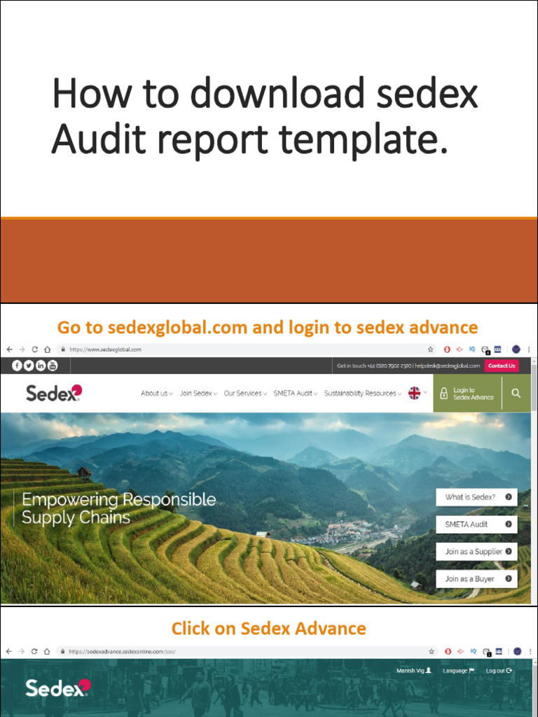 Downloading Sedex Audit Reports Guide | PDF | Computers