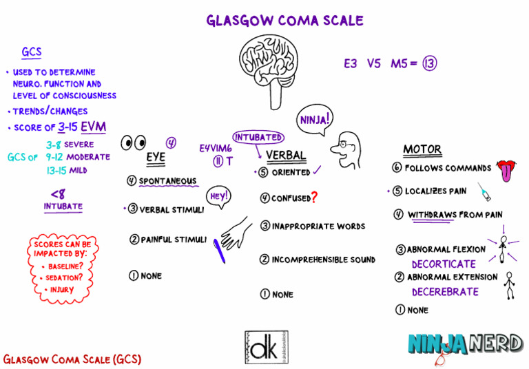 1000.1 Nursing) Glasgow Coma Scale (GCS) - Key | PDF