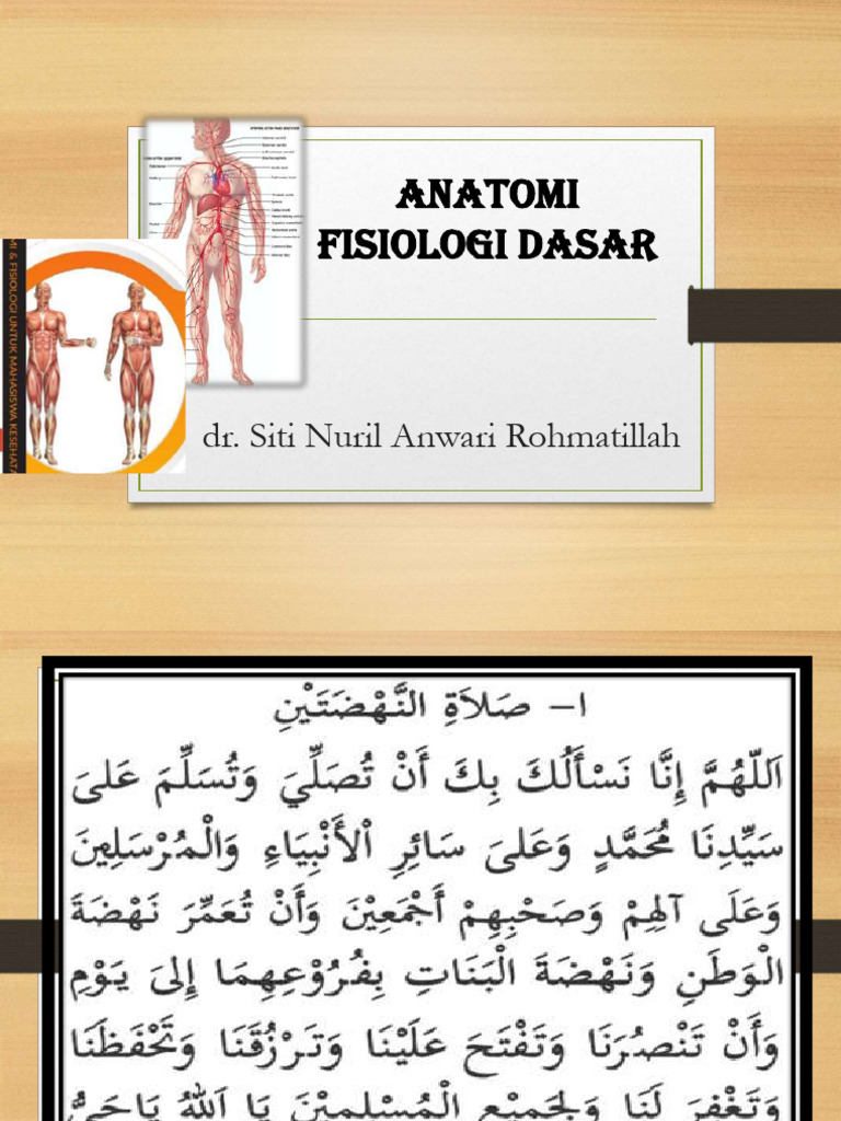 Dasar Anatomi dan Fisiologi Manusia | PDF