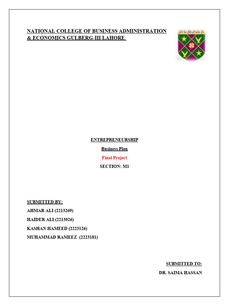 Entrepreneurship Final Project Document | PDF | Pricing | Brand