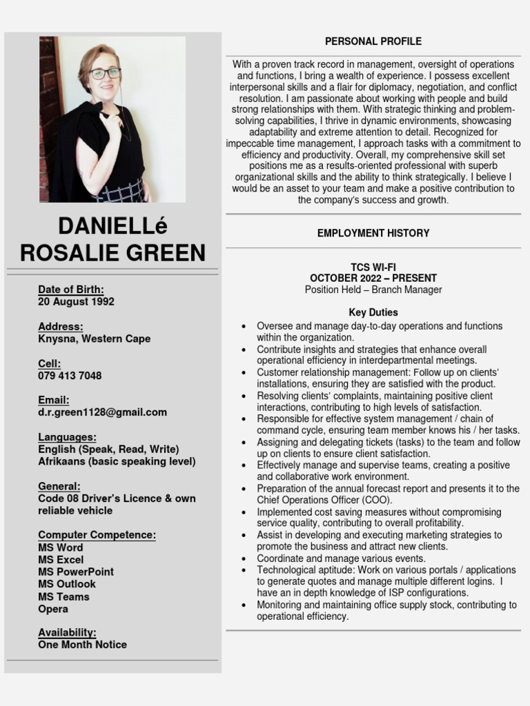 Dani Resume | PDF | Marketing Strategy | Business