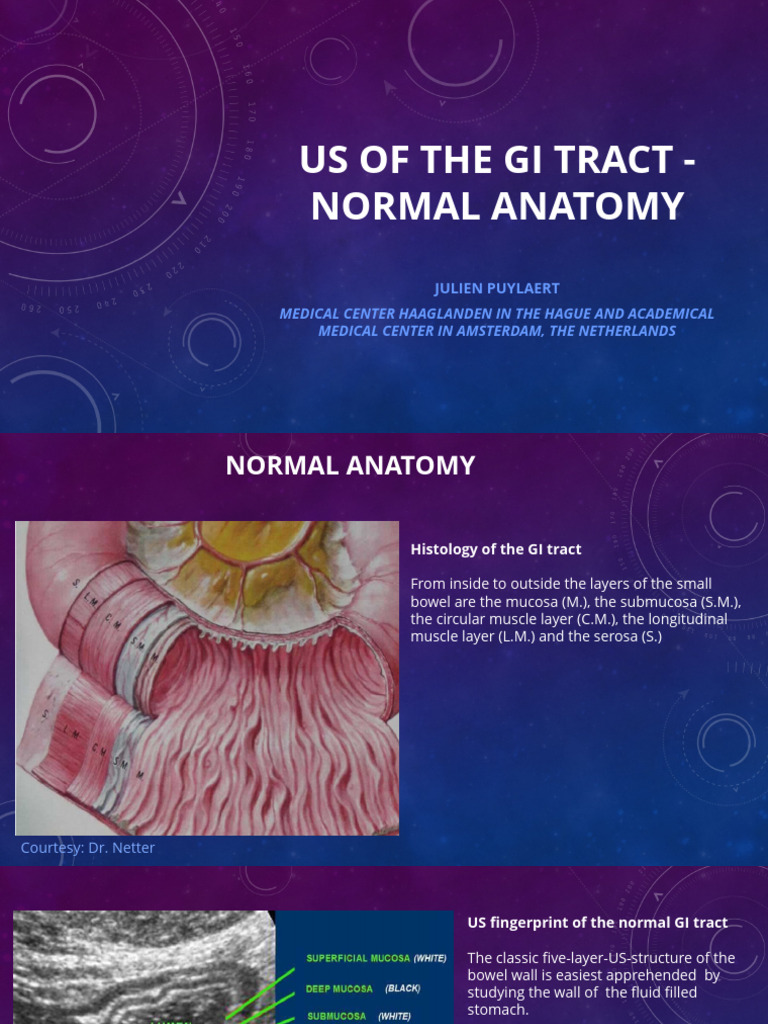US of The GI Tract - Normal Anatomy | PDF | Gastrointestinal Tract ...