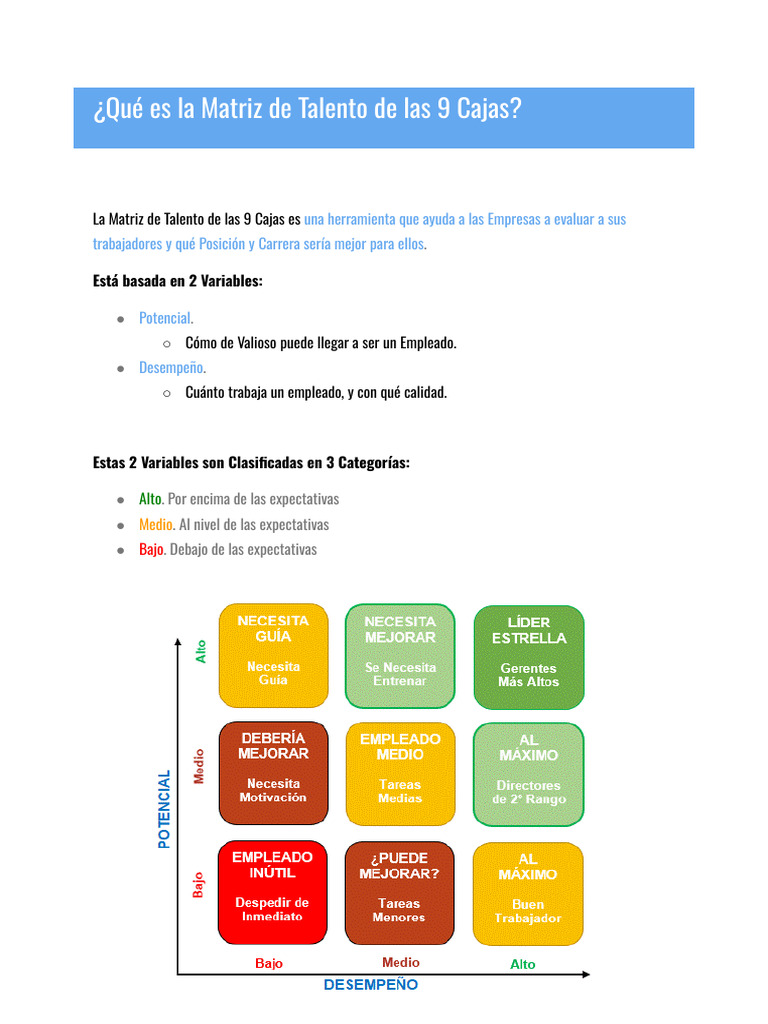 ¿Qué Es La Matriz de Talento de Las 9 Cajas | PDF | Business | Motivación