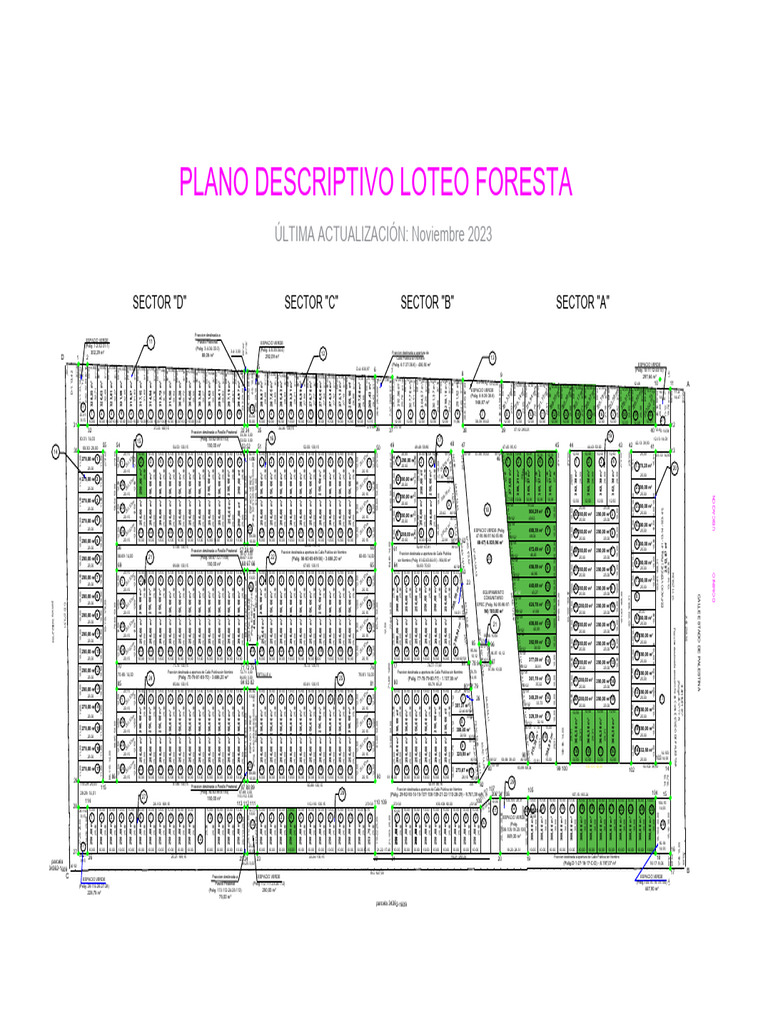 Plano Foresta - Enero 2024 | PDF
