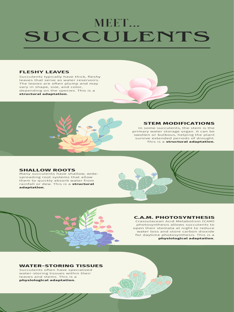 Science Ecosystems Infographic | PDF | Science & Mathematics
