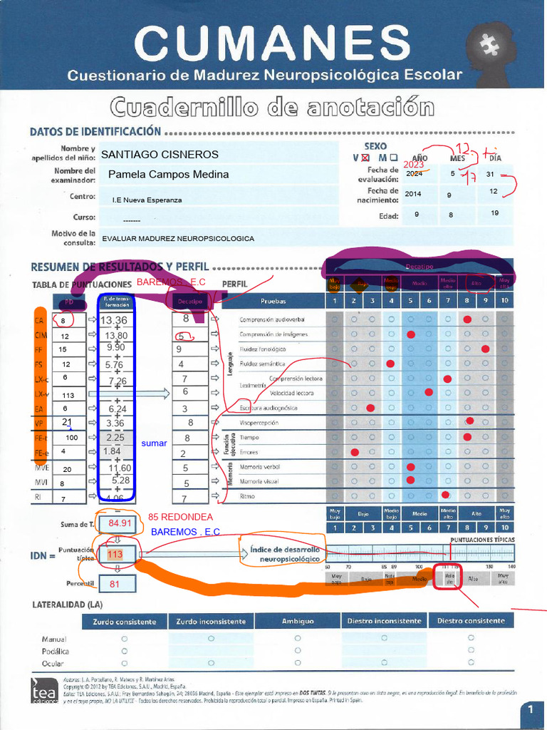 Protocolo - CUMANES (1) - EJEMPLO | PDF