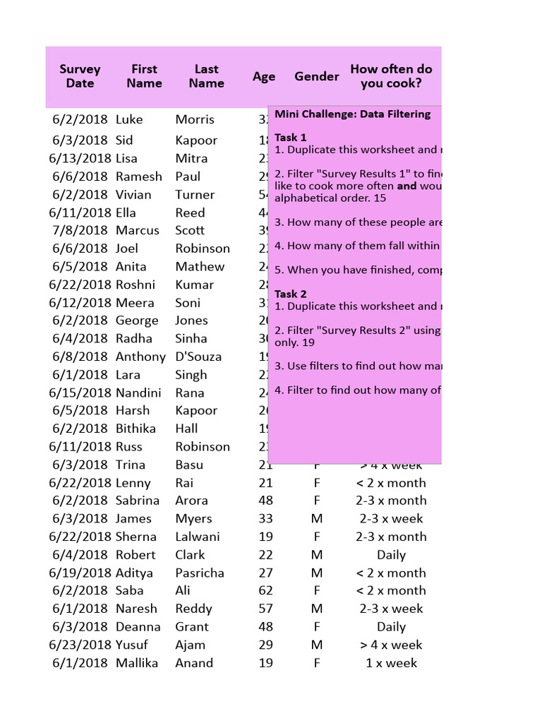 Data Filtering Mini Challenge | PDF