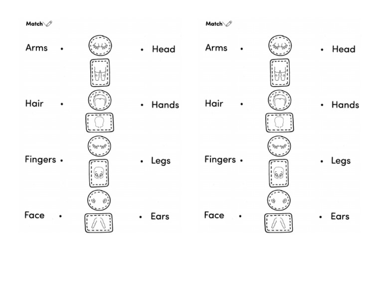 Parts of the body 2nd grade | PDF