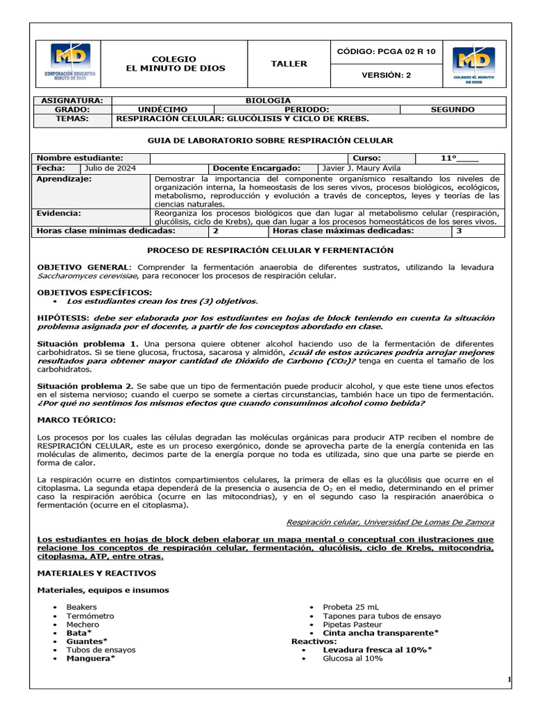 11B - Guia Lab. Metabolismo - Iip | PDF | Respiración celular | Fermentación