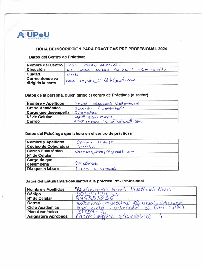 PDF FICHA PARA PPF | PDF