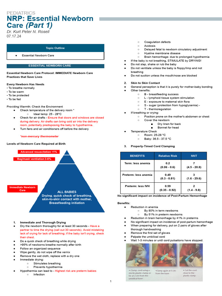 NRP Part 1 | PDF | Breastfeeding | Infants