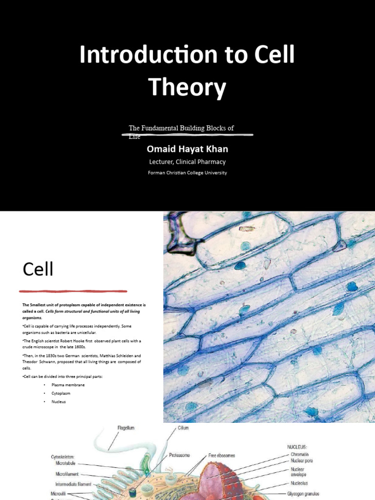 3. Cell and Tissues | Download Free PDF | Endoplasmic Reticulum | Cell Membrane