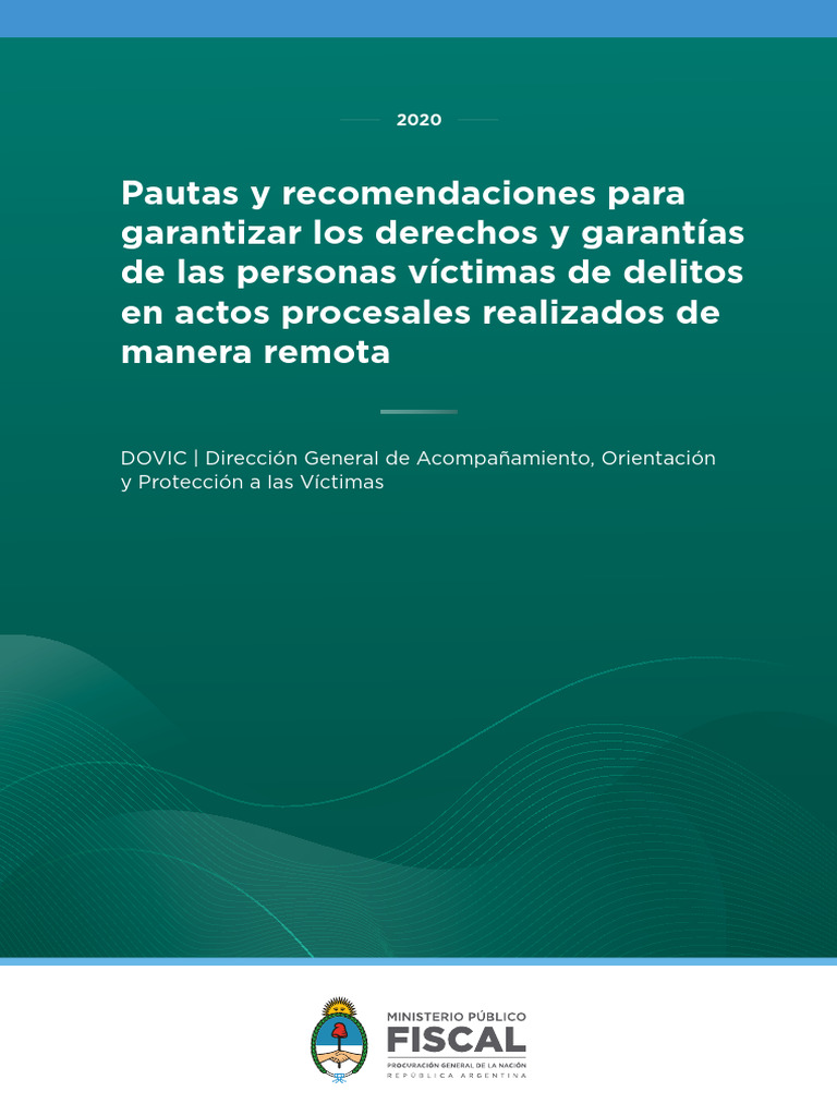 DOVIC Pautas y Recomendaciones | PDF | Ley procesal | Justicia