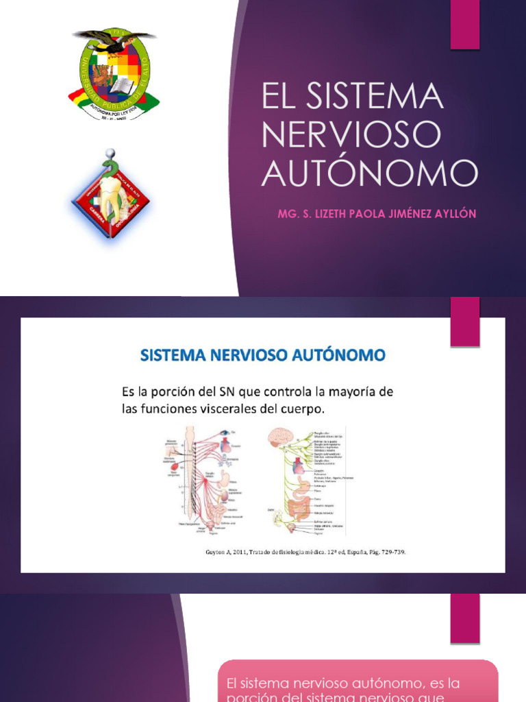 El Sistema Nervioso Aut-Nomo | PDF | Acetilcolina | Sistema nervioso