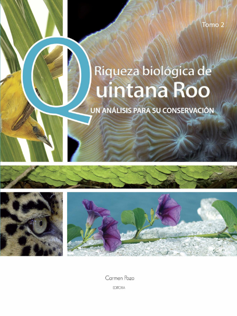 Riqueza_biológica_de_Quintana_Roo_Tomo_II | PDF | Especies | Taxonomía (biología)