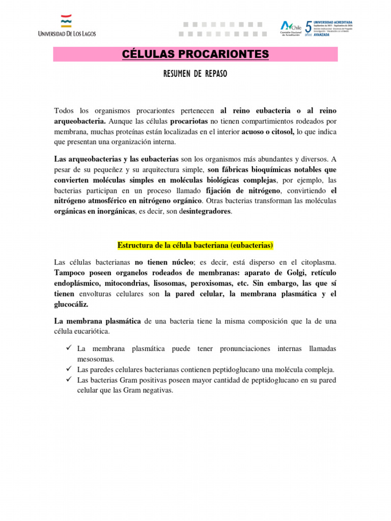 Celula Procarionte - Resumen | PDF | Biología Celular) | Las bacterias