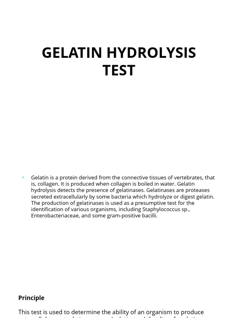 GELATIN HYDROLYSIS TEST | PDF | Gelatin | Hydrolysis