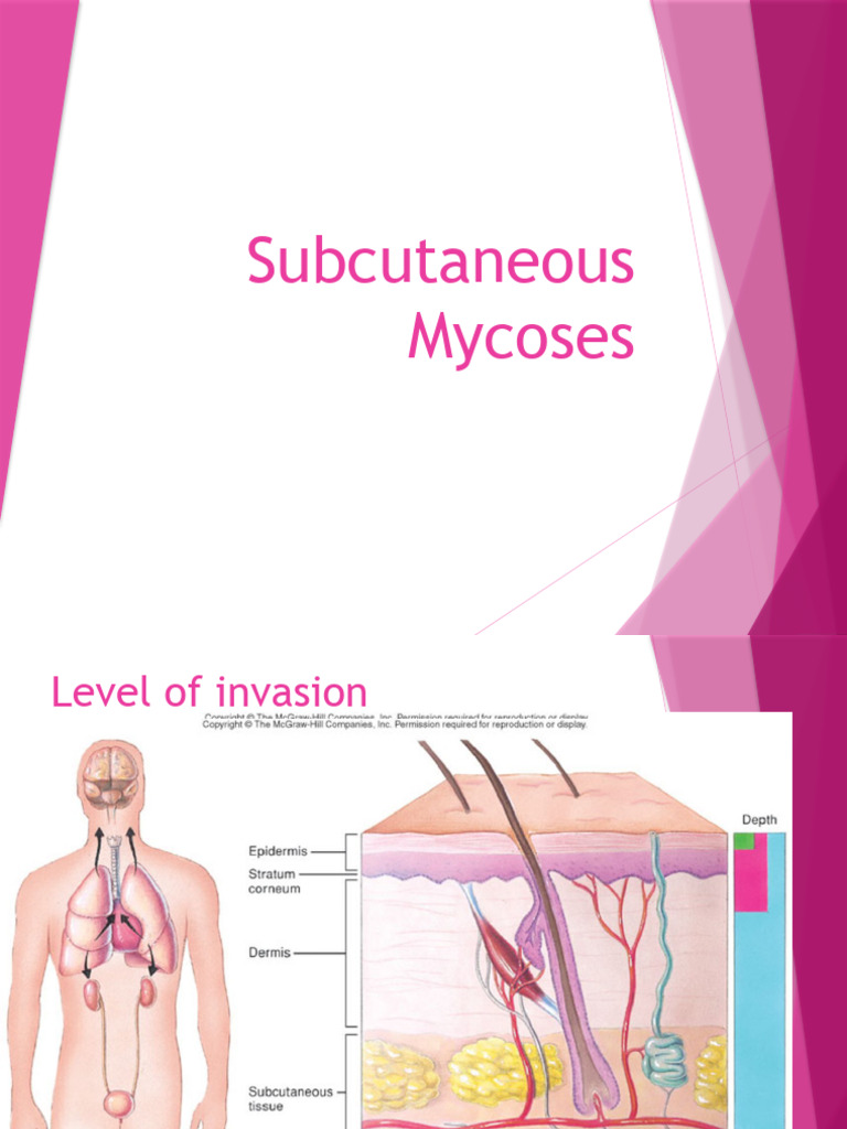 Subcutaneous Mycoses | PDF | Medical Specialties | Diseases And Disorders