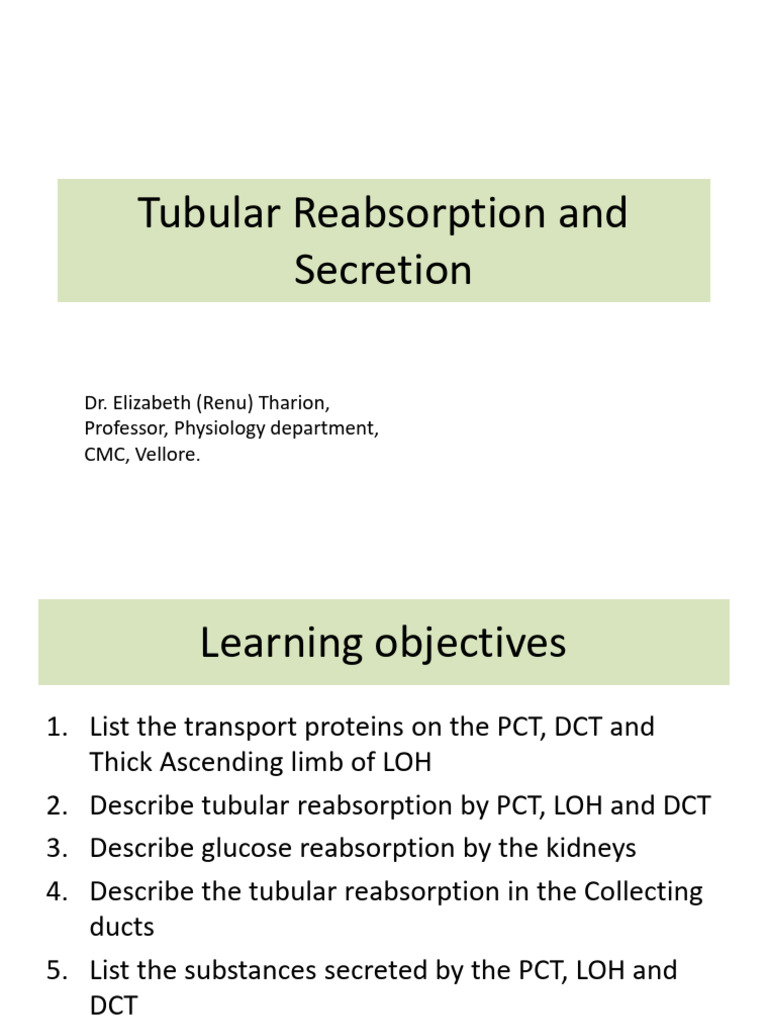 3.urine Formation - Tubular Reabsorption and Tubular Secretion | PDF ...