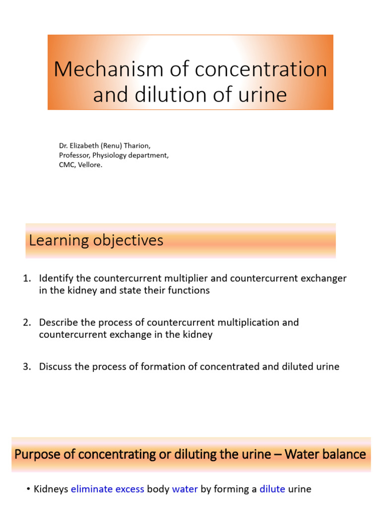 Urine Concentration Dilution - CounterCurrent Mechanisms | PDF | Kidney | Urinary System