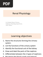 Label The Nephron Worksheet | PDF
