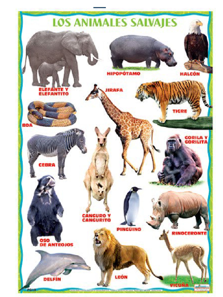 Animales Domesticos y Salvajes | PDF