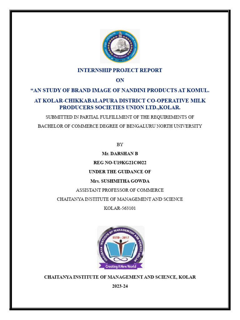 Internship Project Report Vinay | PDF | Business | Technology & Engineering