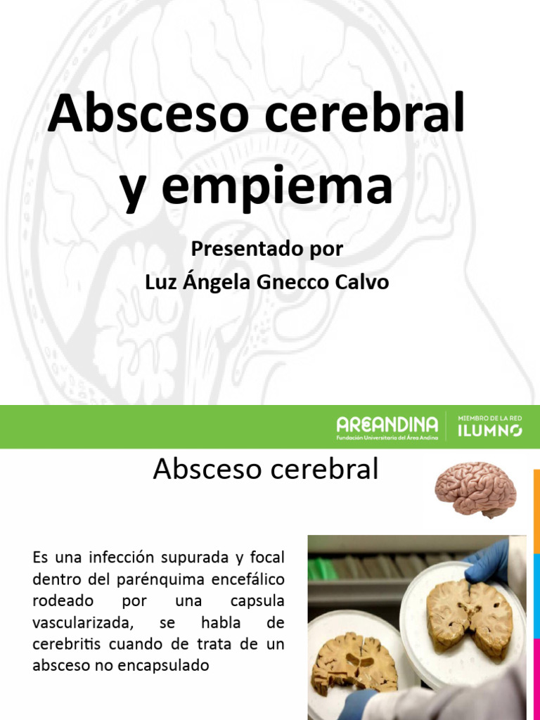 Absceso cerebral: causas y tratamiento | PDF | Enfermedades y ...