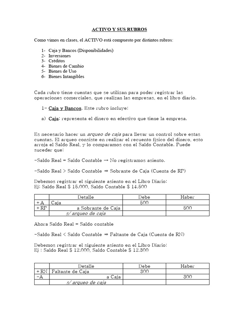 Activo y Sus Rubros | PDF | Contabilidad | Economía Financiera