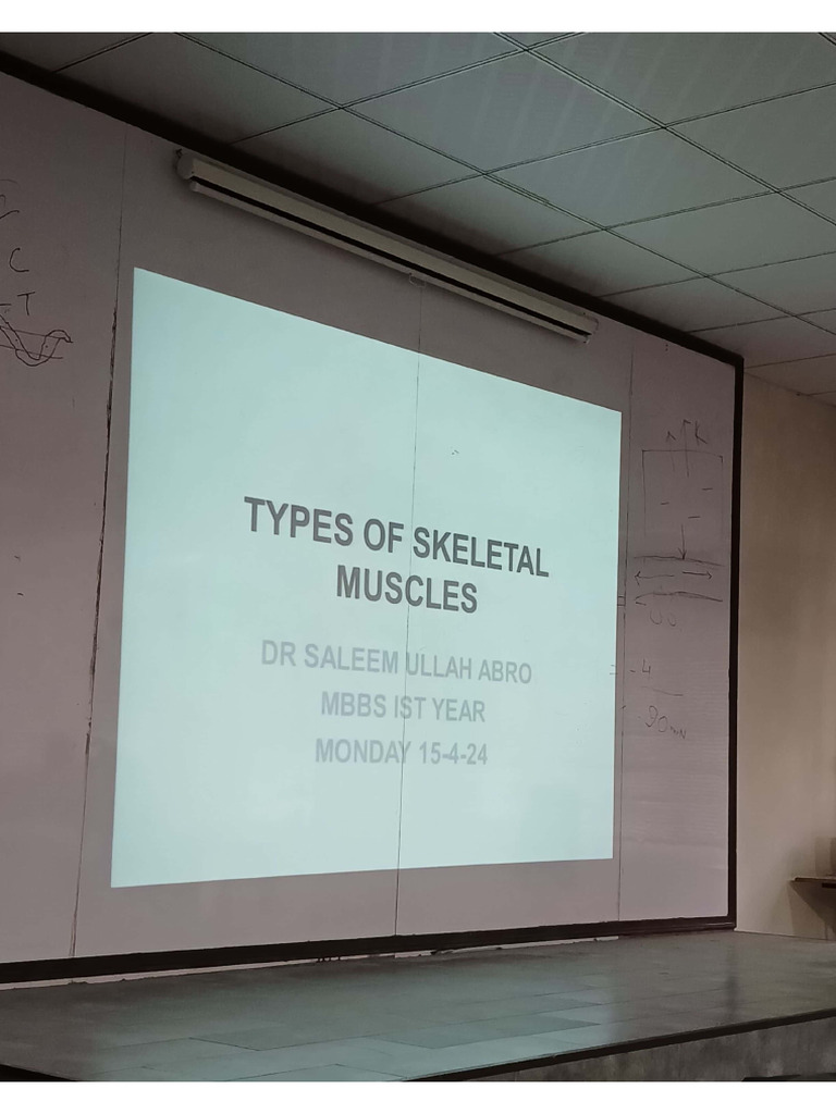 Types of Skeletal Muscles | PDF