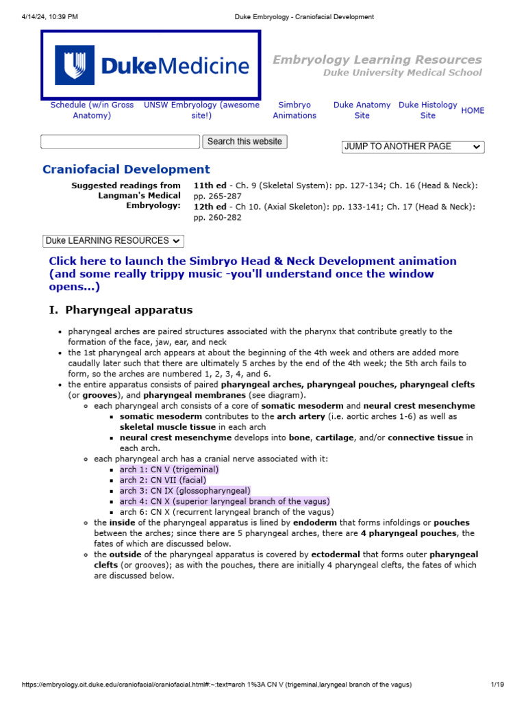 Duke Embryology: Craniofacial Development | PDF | Tongue | Aorta