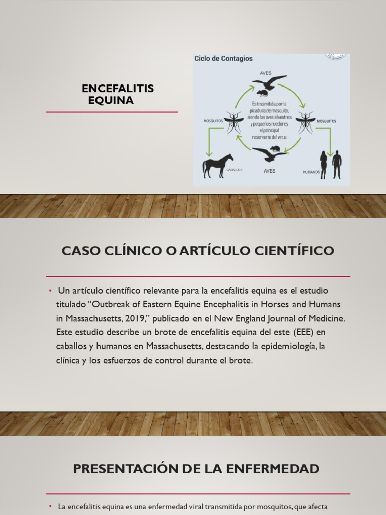 Encefalitis Equina: Brote y Prevención | PDF | Virus | Sistema nervioso ...