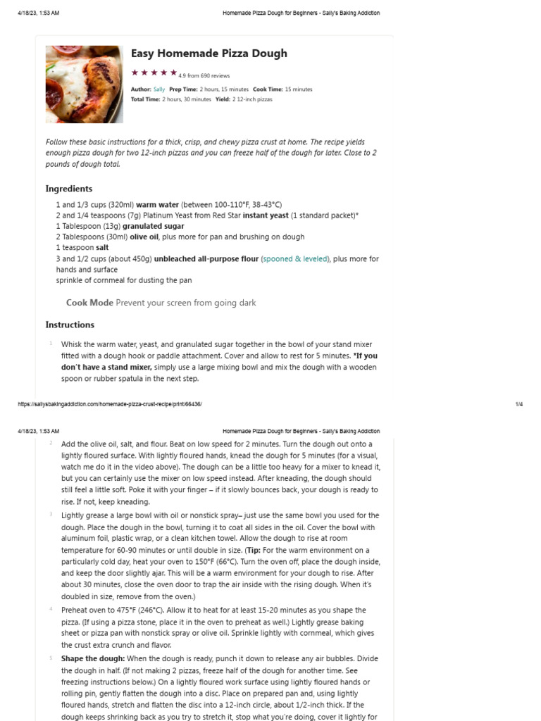 Homemade Pizza Dough For Beginners - Sally's Baking Addiction | PDF | Pizza | Baker's Yeast