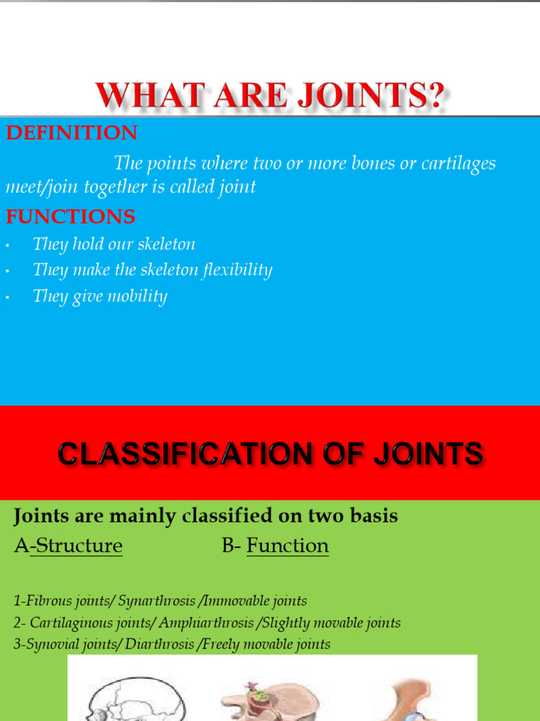 What Are Joints | PDF