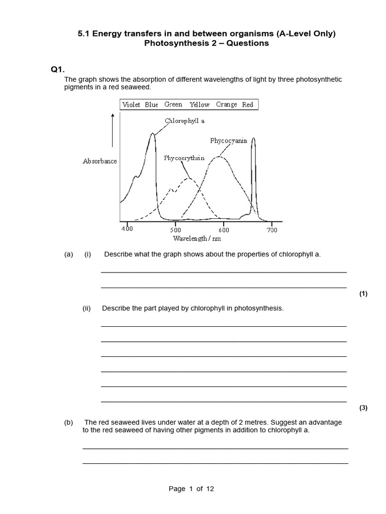 Photosynthesis and Energy Transfer Analysis | PDF | Photosynthesis ...